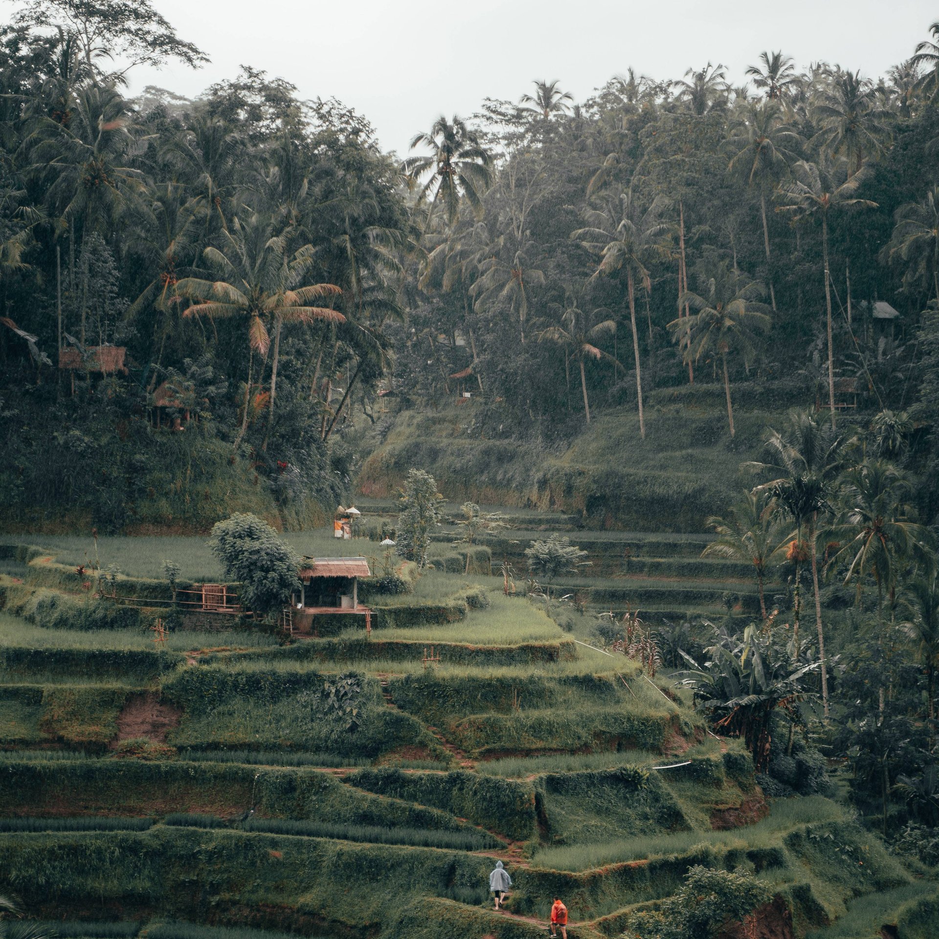 Иконка канала Антон Крылов