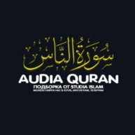 Иконка канала Audio Quran