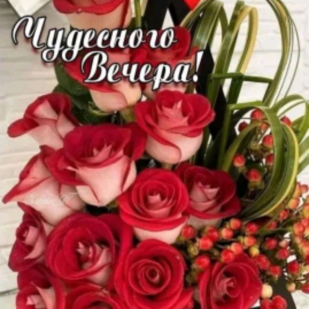 Иконка канала Московские прогулки