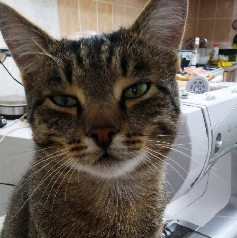 Иконка канала gleb6may