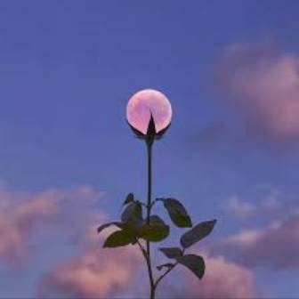 Иконка канала Тайны вселенной