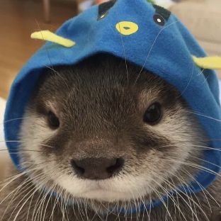 Иконка канала Милана Пономарева