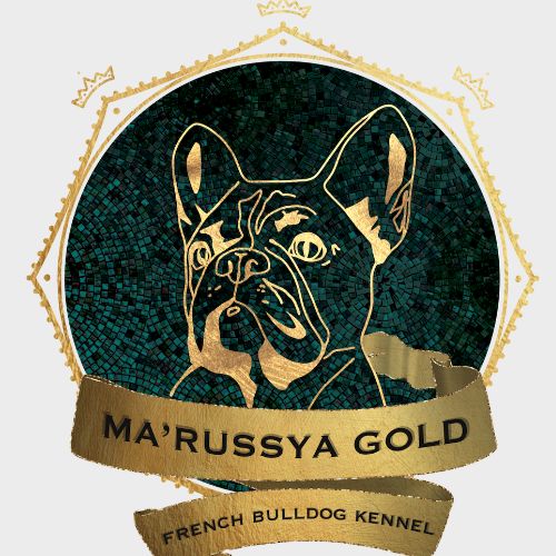 Иконка канала Питомник Французских Бульдогов