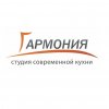 Иконка канала Гармония студия современной кухни