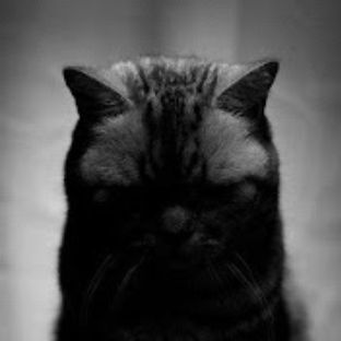 Иконка канала Grand Mobile Vova Love