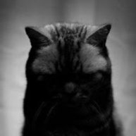 Иконка канала Grand Mobile Vova Love