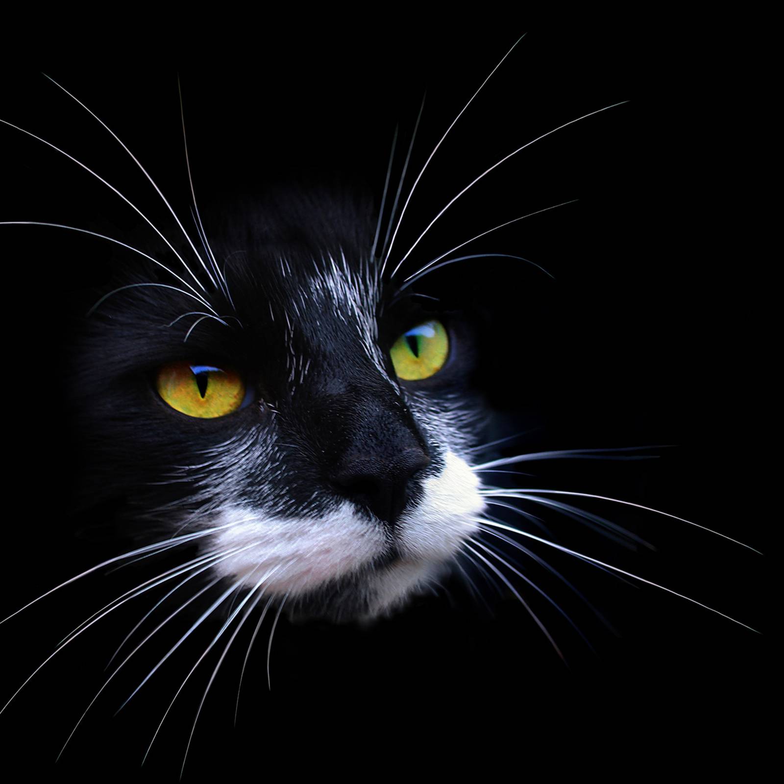 Иконка канала Uncle