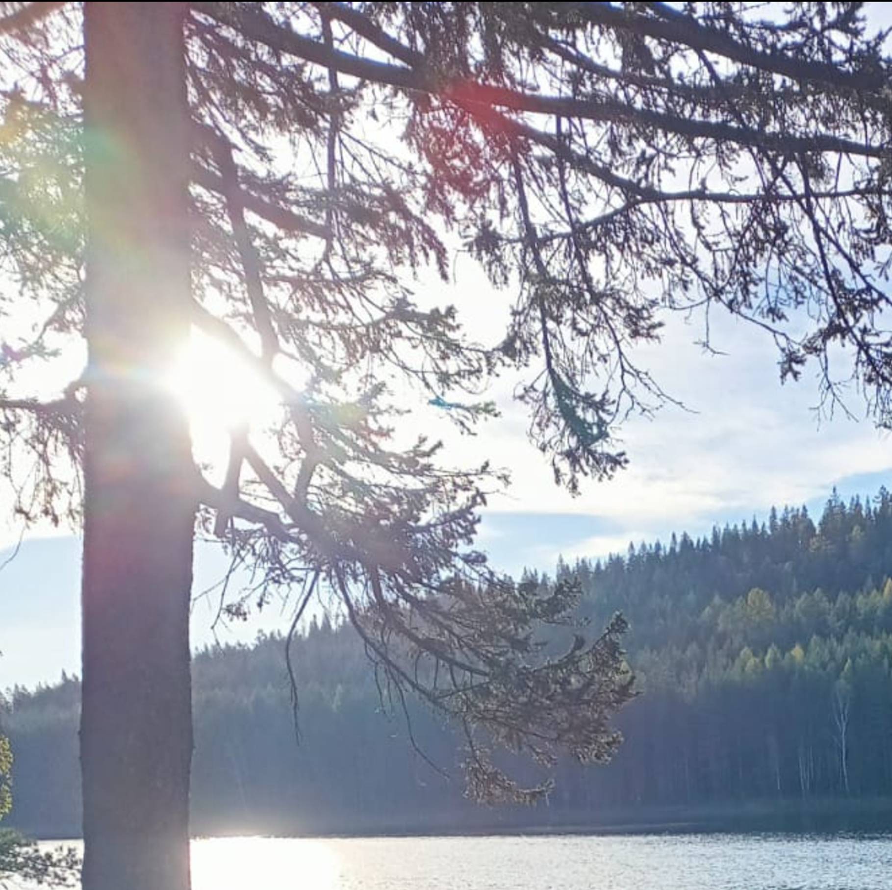 Иконка канала Природа Урала