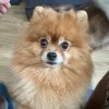 Иконка канала channel58093313