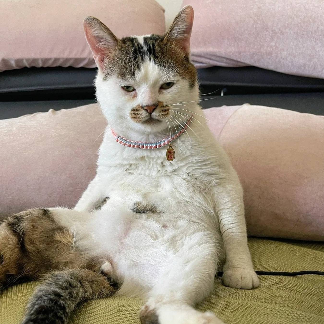 Иконка канала Дмитрий