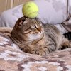 Иконка канала Бася-колбася