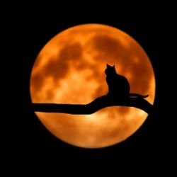 Иконка канала Мистика и фантастика. Алексей Игнатов