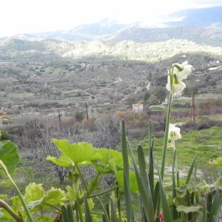 Иконка канала Дрондетектор Дельфин и штурмовой РЭБ "Рыбка"