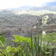 Иконка канала Дрондетектор Дельфин и штурмовой РЭБ "Рыбка"