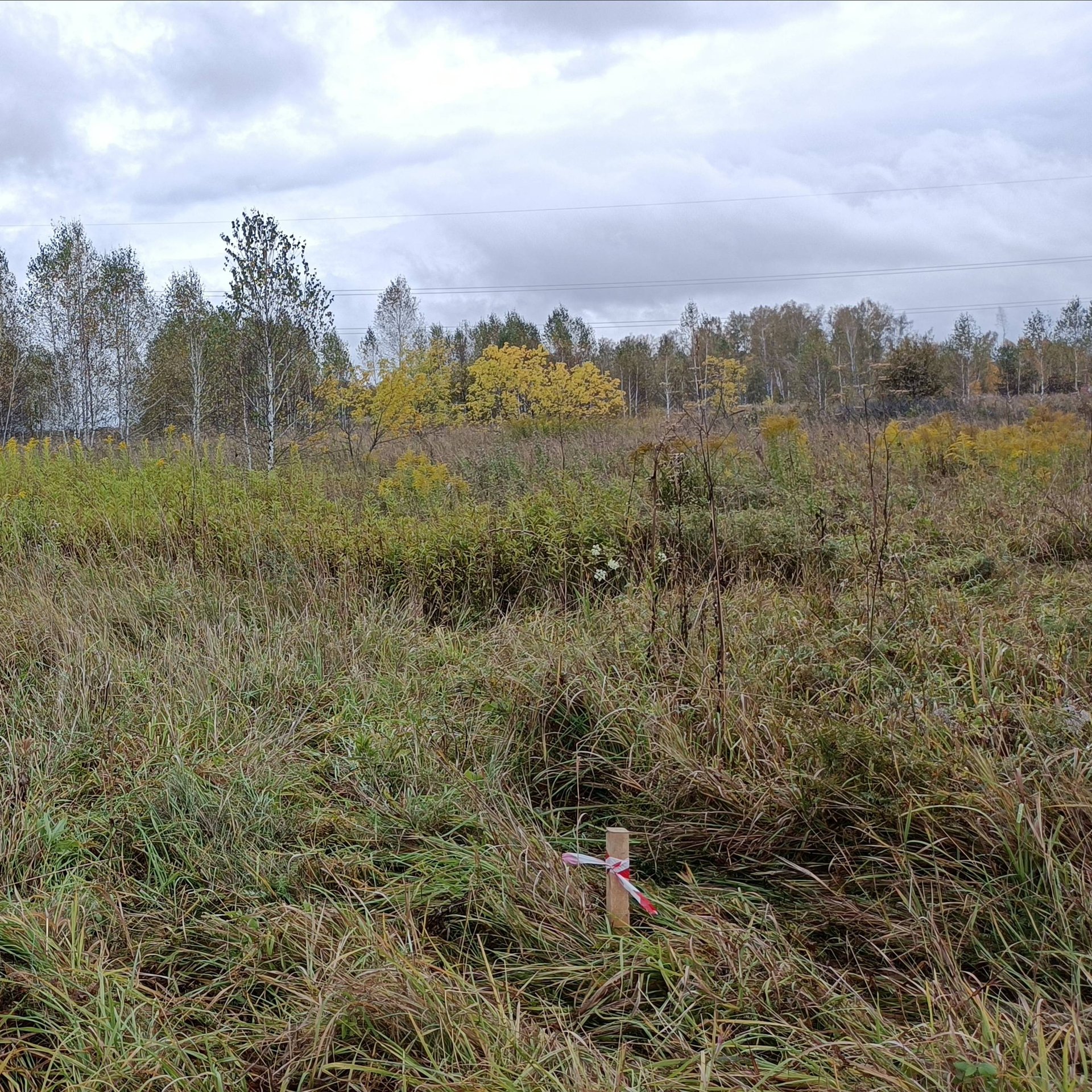 Иконка канала Повседневная жизнь / Everyday life