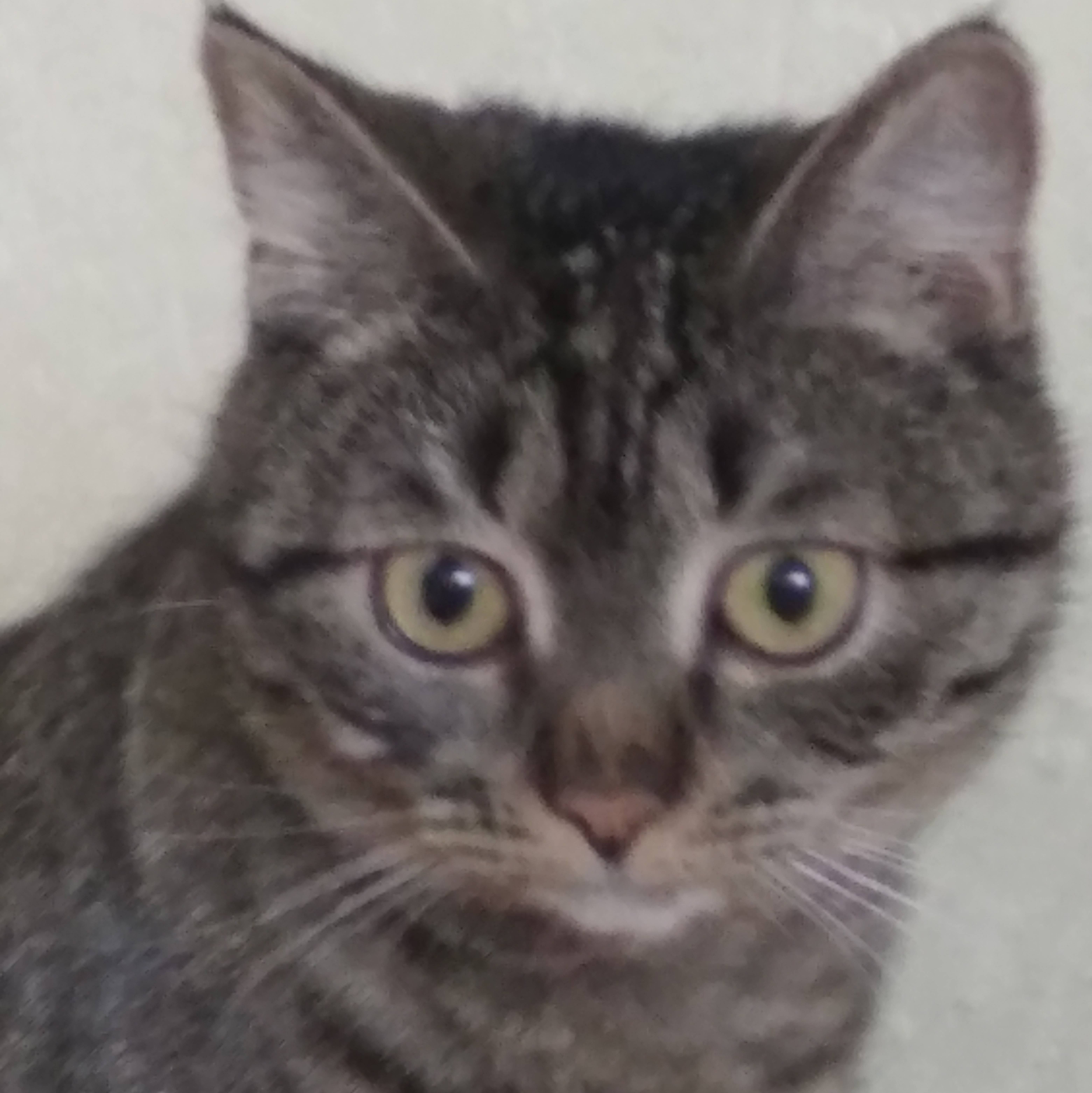 Иконка канала Vek-Витёк (: