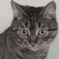 Иконка канала Vek-Витёк (: