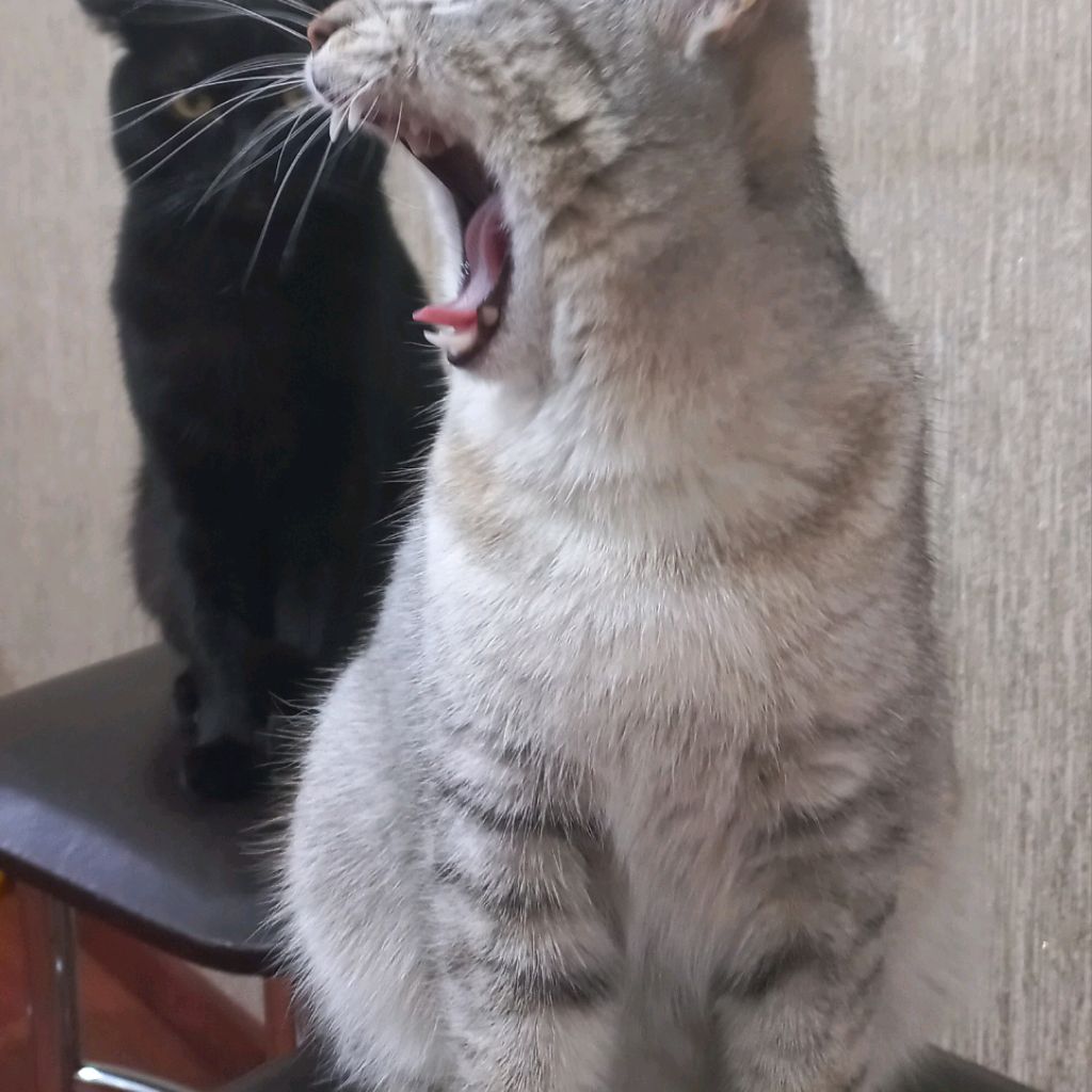 Иконка канала channel35697612