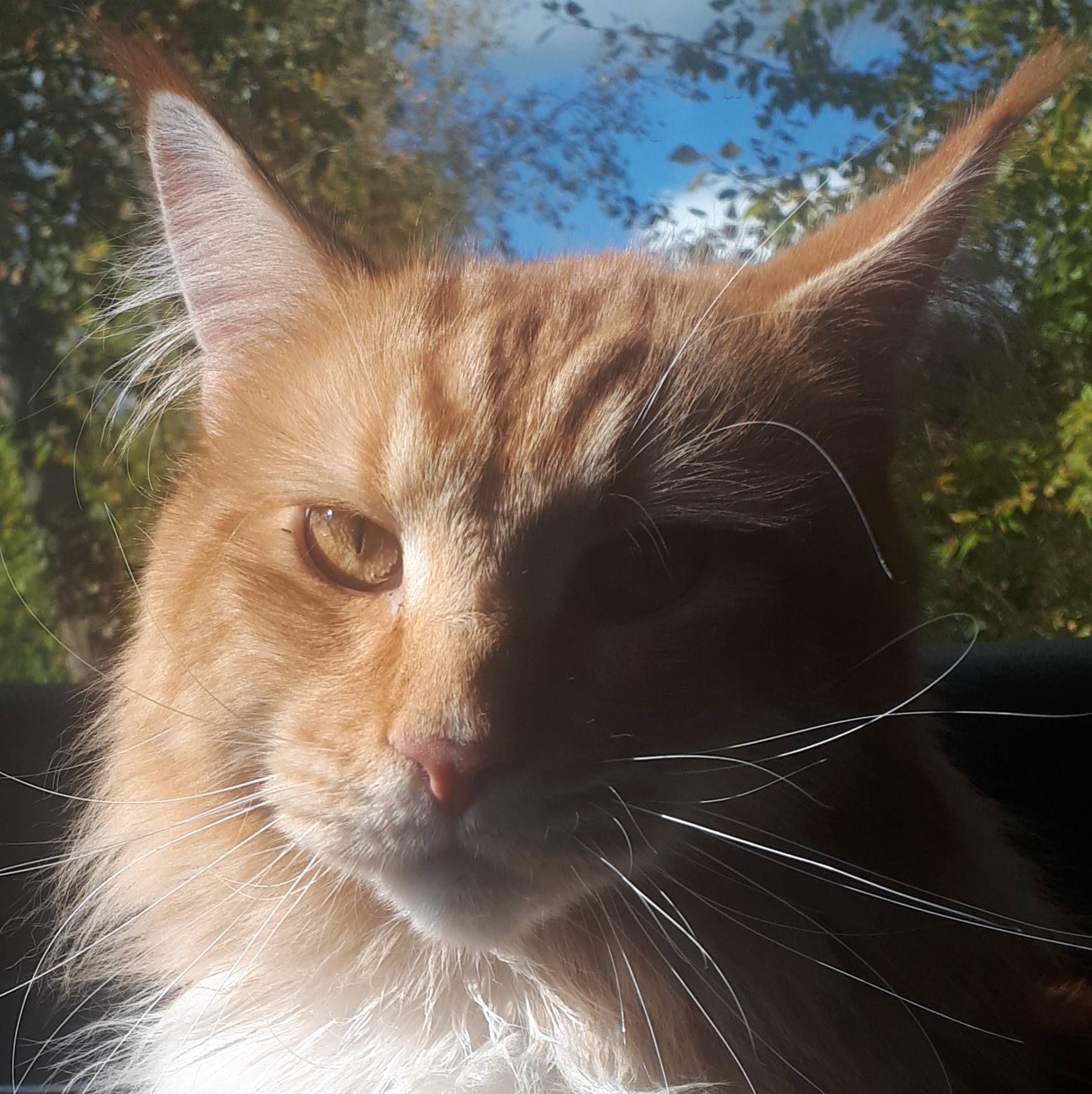 Иконка канала Bratskij