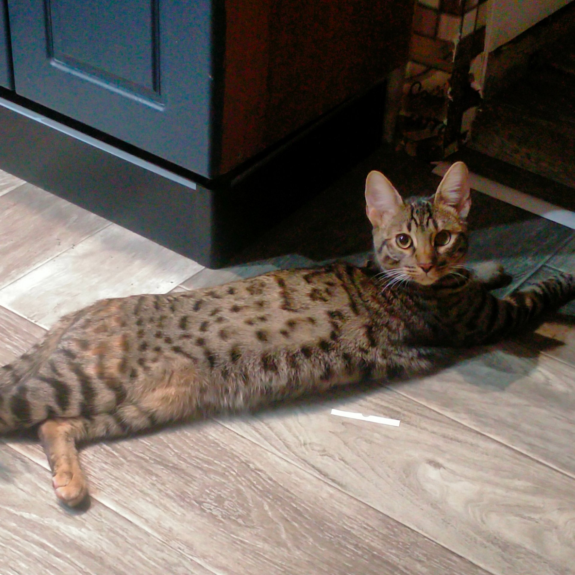 Иконка канала channel55456594