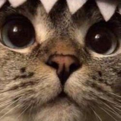 Иконка канала Sem4k