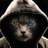 Иконка канала Ahma_8888