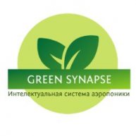 Иконка канала GREEN SYNAPSE