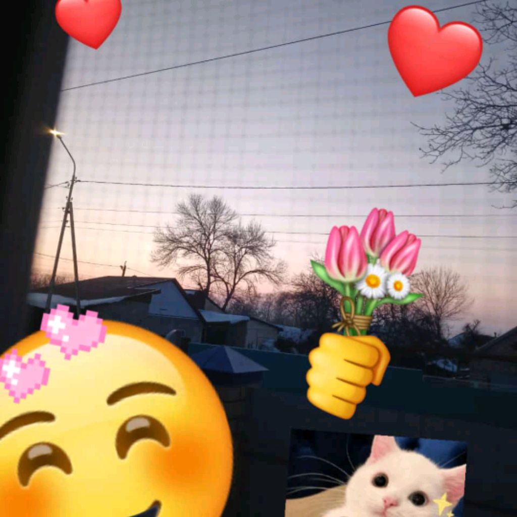 Иконка канала Elina