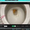 Иконка канала Ха-Ха-Ха