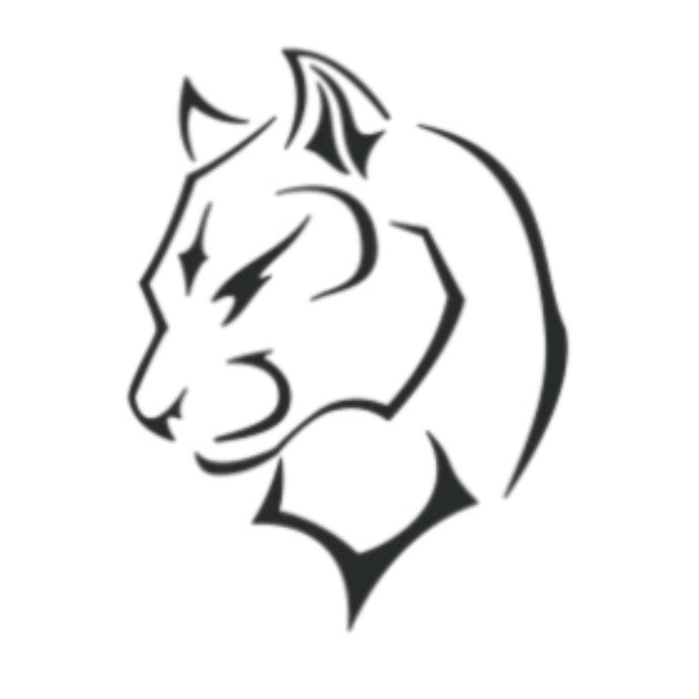 Иконка канала Сержант альфа