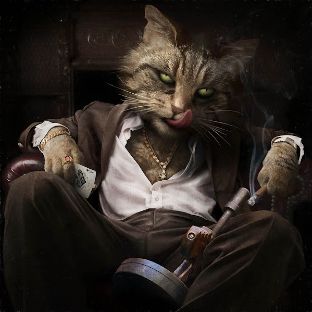 Иконка канала KoT_B_KoCMoCe