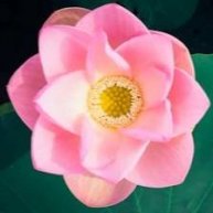 Иконка канала Школа одного учителя