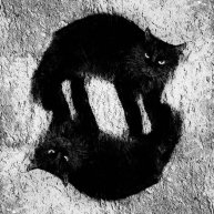 Иконка канала Garden Modern