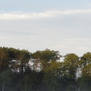 Иконка канала Виктор Догадкин