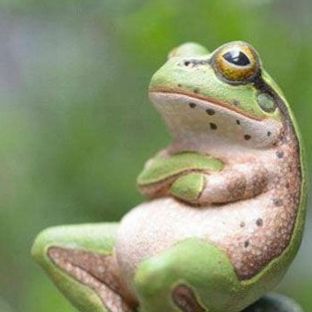 Иконка канала fkthat.ru