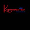 Иконка канала Королевство техники