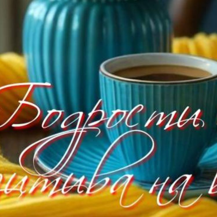 Иконка канала channel46321438