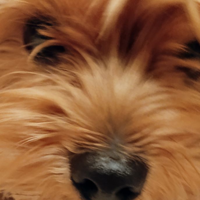 Иконка канала Liberty