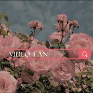 Иконка канала VIDEO FAN