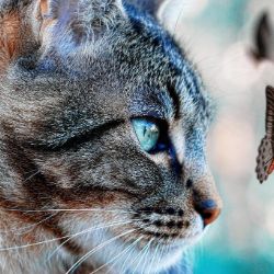 Иконка канала juVL1976