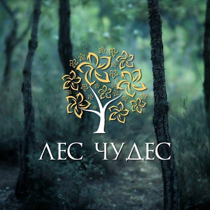 Иконка канала лес-чудес