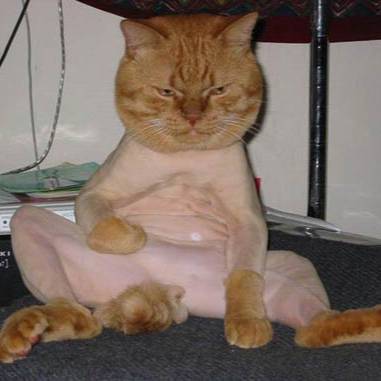 Иконка канала BIOHAZARD