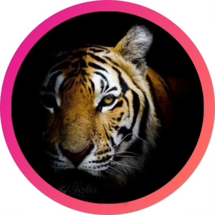 Иконка канала ХОРАЗМ БЕСТ