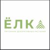 Иконка канала Ëlka_krd