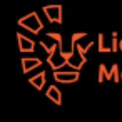 Иконка канала Lion Motors