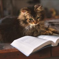 Иконка канала Мир историй