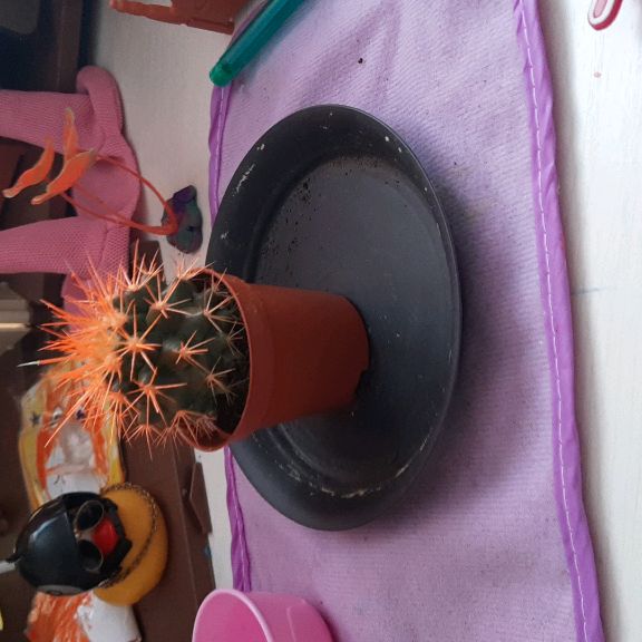 Иконка канала Приключения Ксюши и басят.