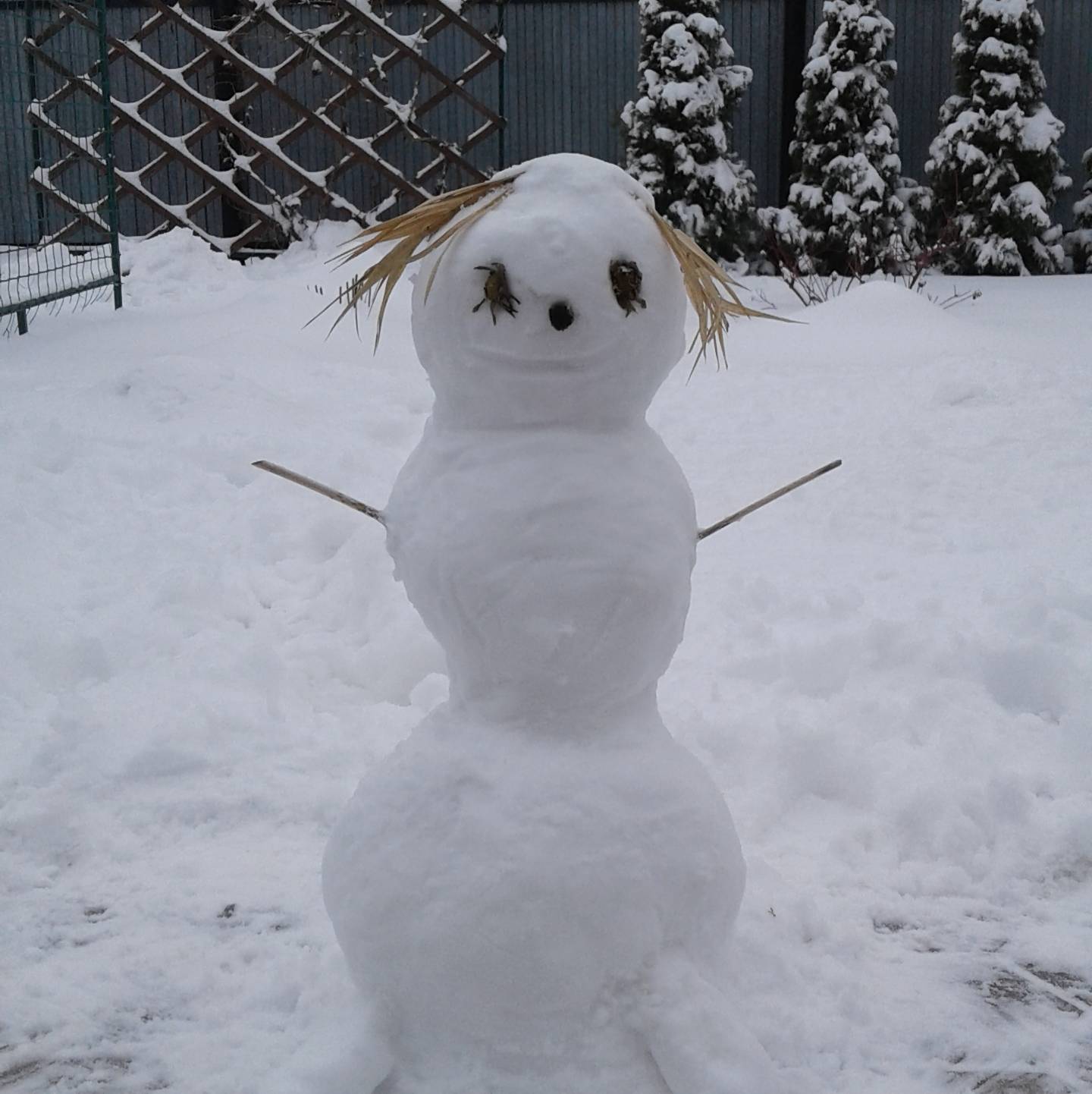 Иконка канала Лыжи вперёд!