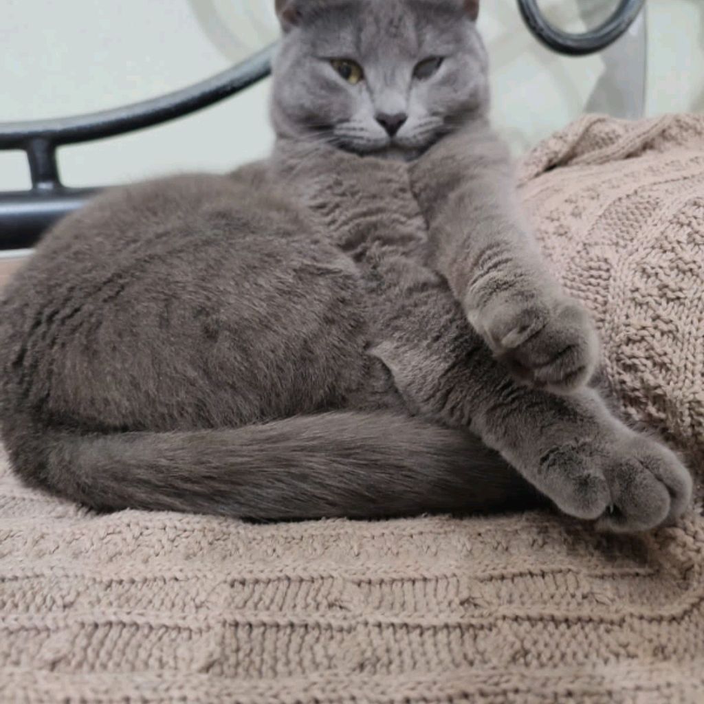 Иконка канала channel58788648