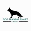 Иконка канала Dog Training Planet